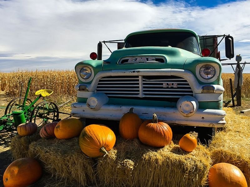Fall Festival