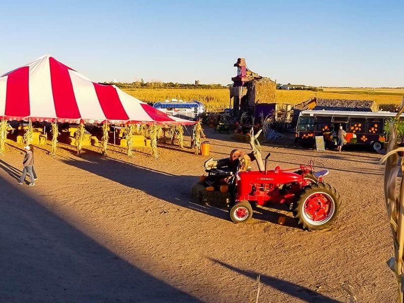 Fall Festival