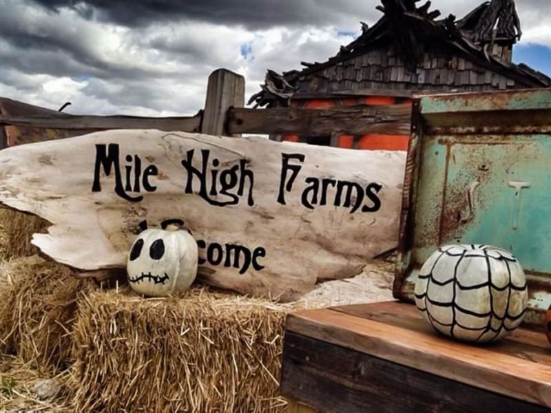 Fall Festival